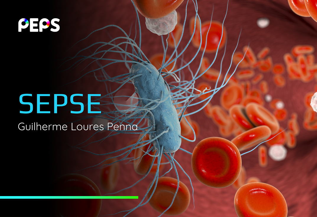 PEPS – Plataforma de Ensino para Profissionais de Saúde